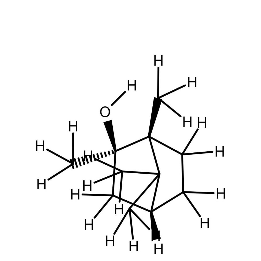 2-Methylisoborneol solution – CRM LABSTANDARD